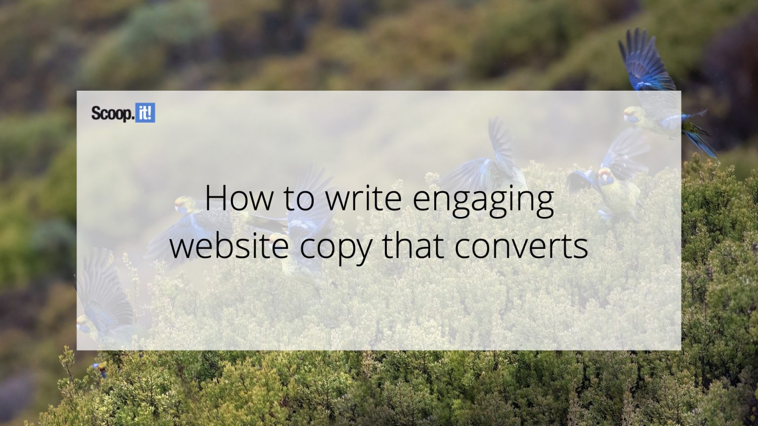 Best practices when publishing content online