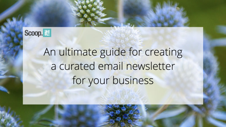An Ultimate guide for creating a curated email newsletter for your ...