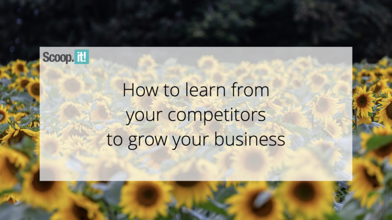 How to Learn From Your Competitors to Grow Your Business - Scoop.it Blog